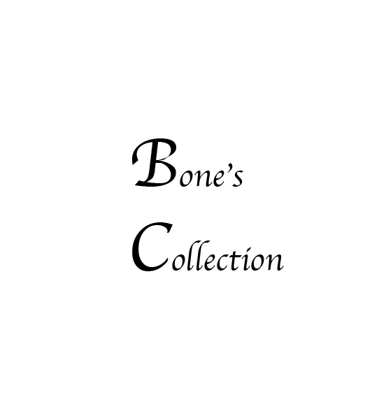 Lookbook – Bones Collection